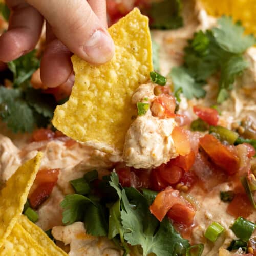 Taco Cheese Ball Board - Countryside Cravings
